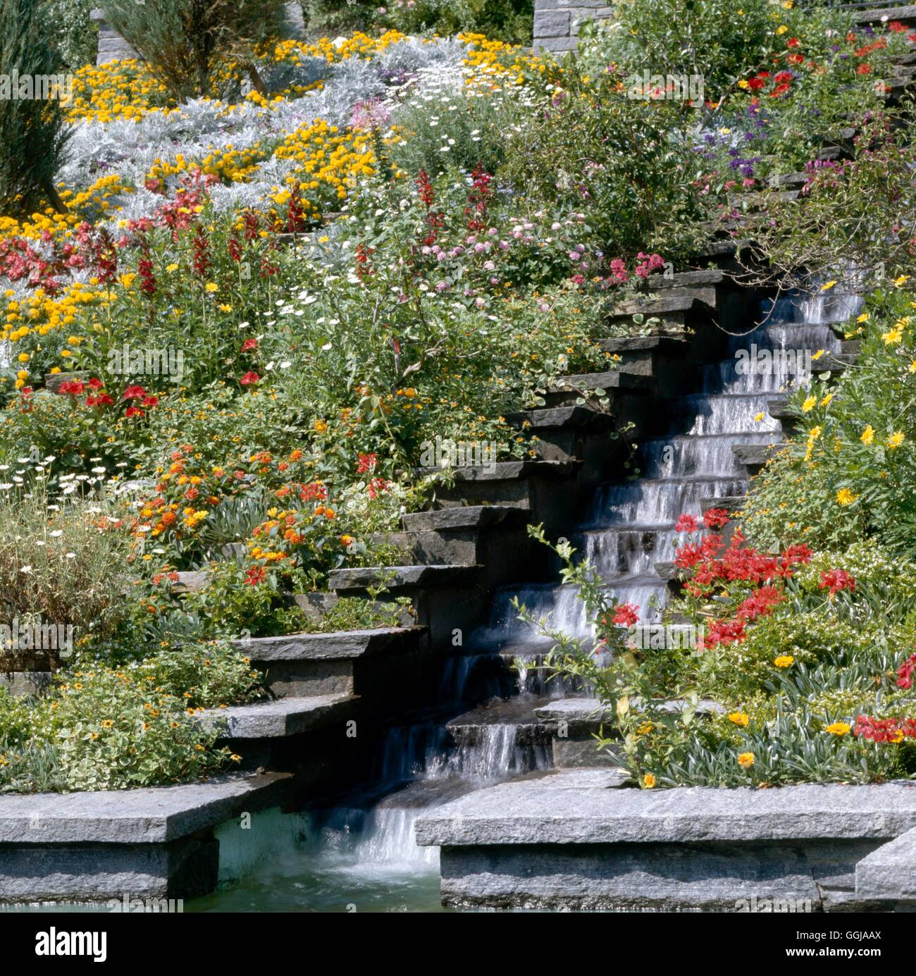 Mainaugardens hi-res stock photography and images - Alamy