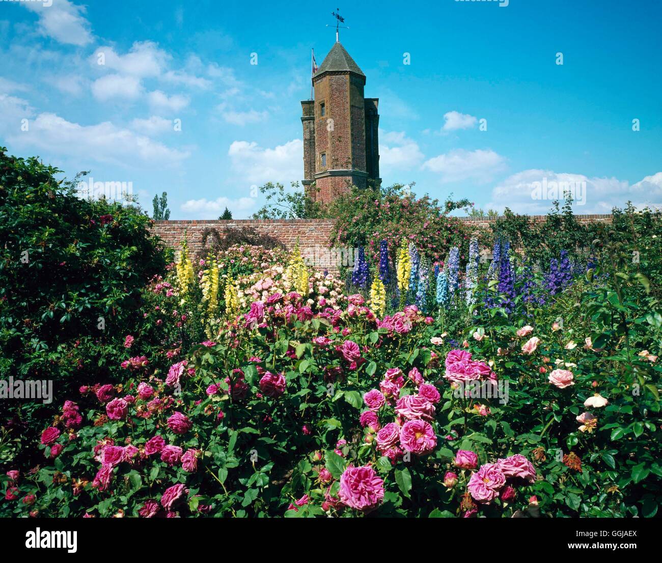 Sissinghurst NT- Kent- - View of the Tower from the Rose Garden ...