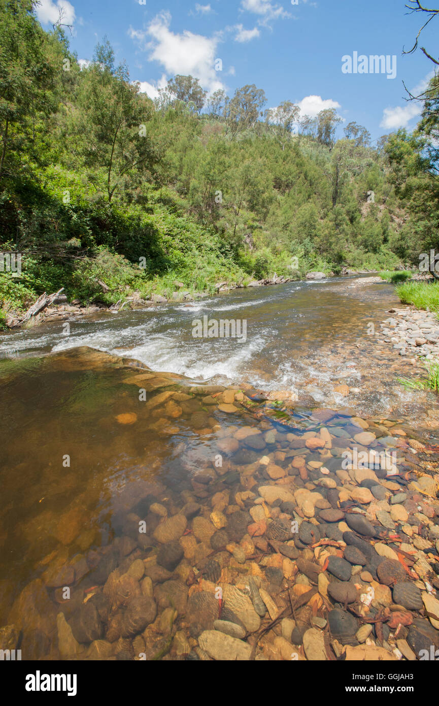 River landscape in the Victorian High Country Stock Photo - Alamy