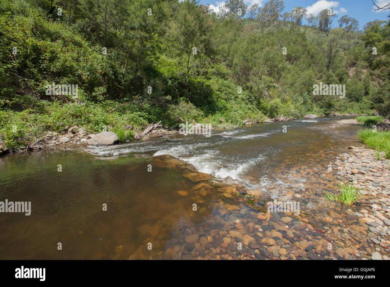 River landscape in the Victorian High Country Stock Photo - Alamy