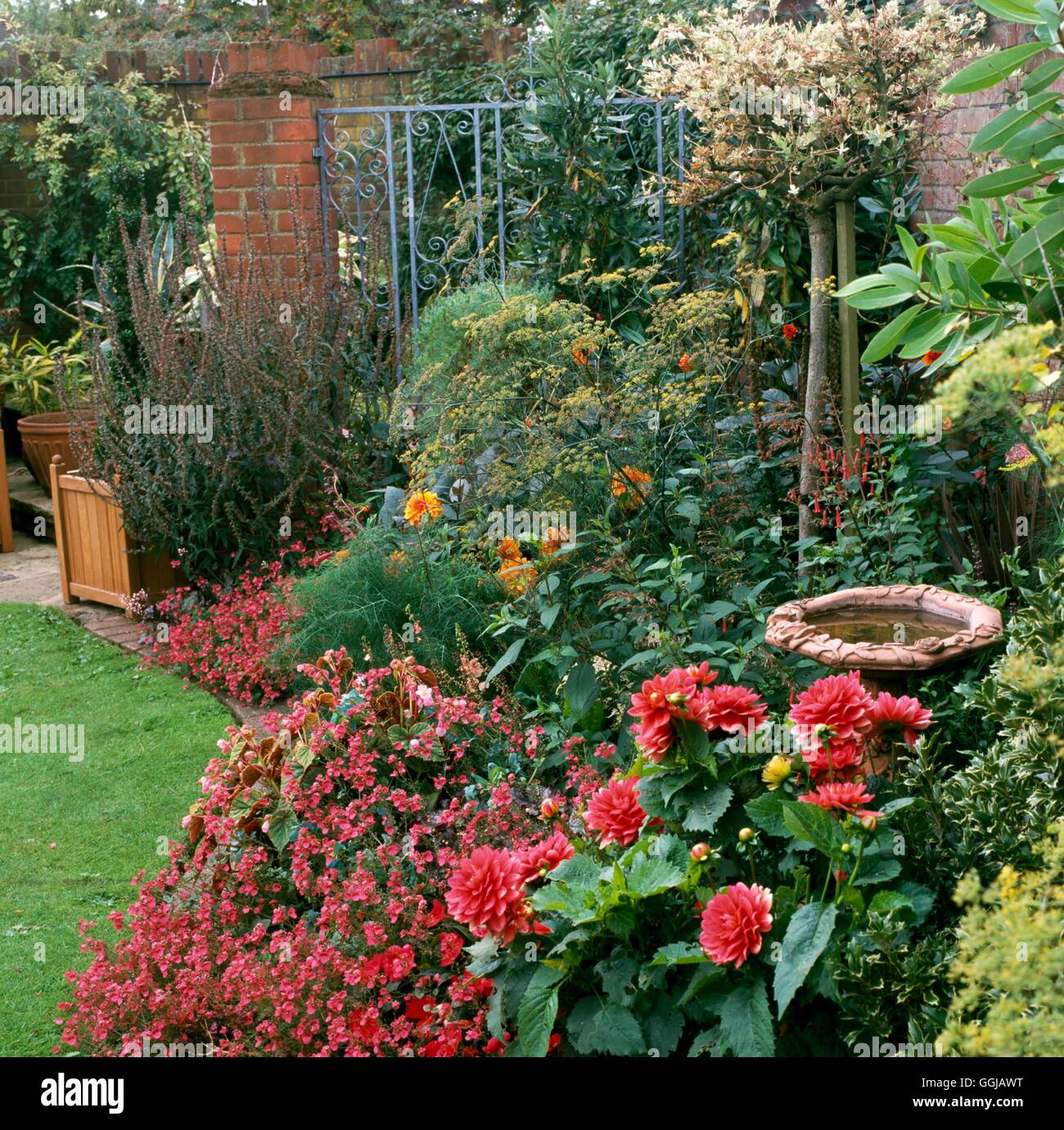 Gardens in Different Seasons - Red border in late Summer (See previous ...
