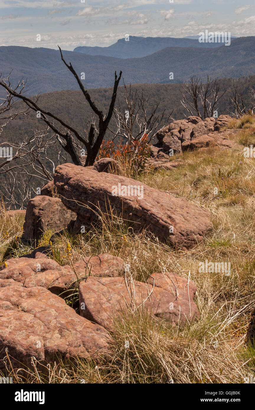 Landscape in the Victoria High Country Stock Photo - Alamy