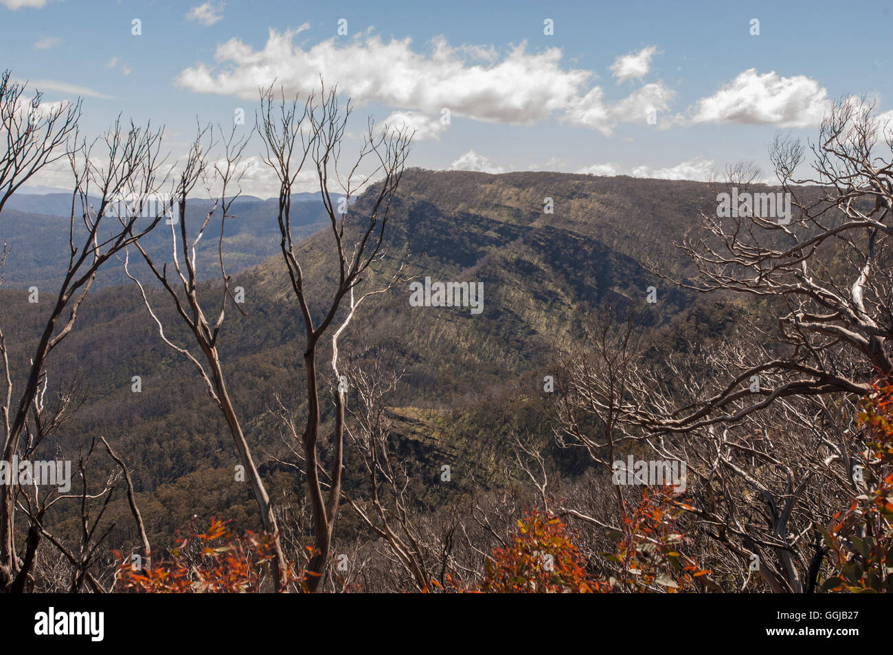 Landscape in the Victoria High Country Stock Photo - Alamy