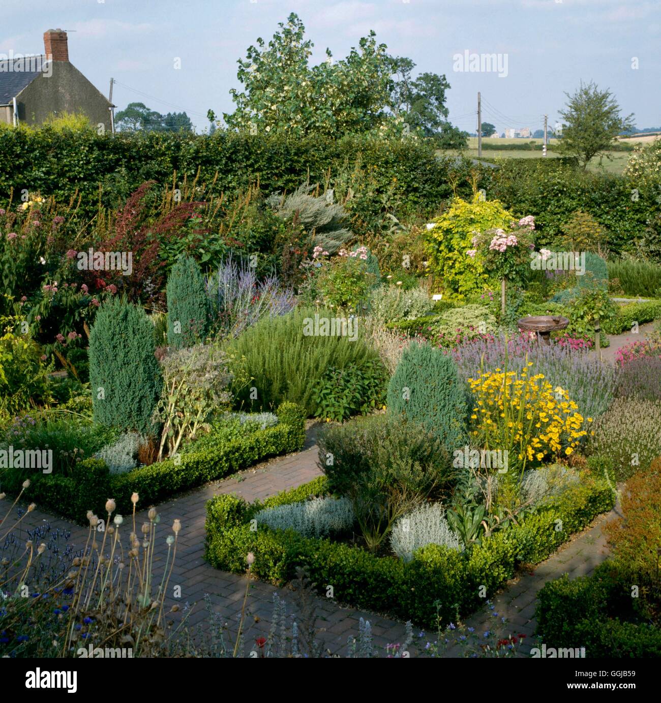 Horticultur hi-res stock photography and images - Alamy