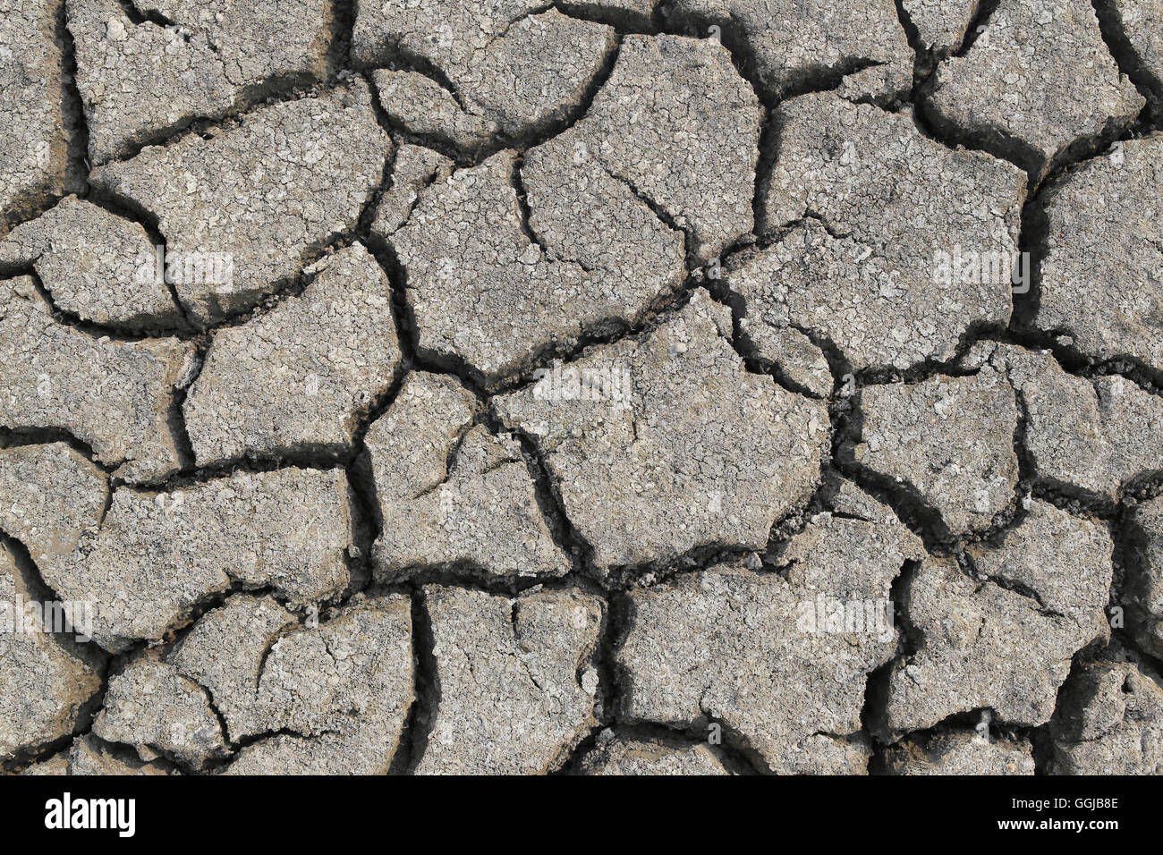 Soil texture hi-res stock photography and images - Alamy