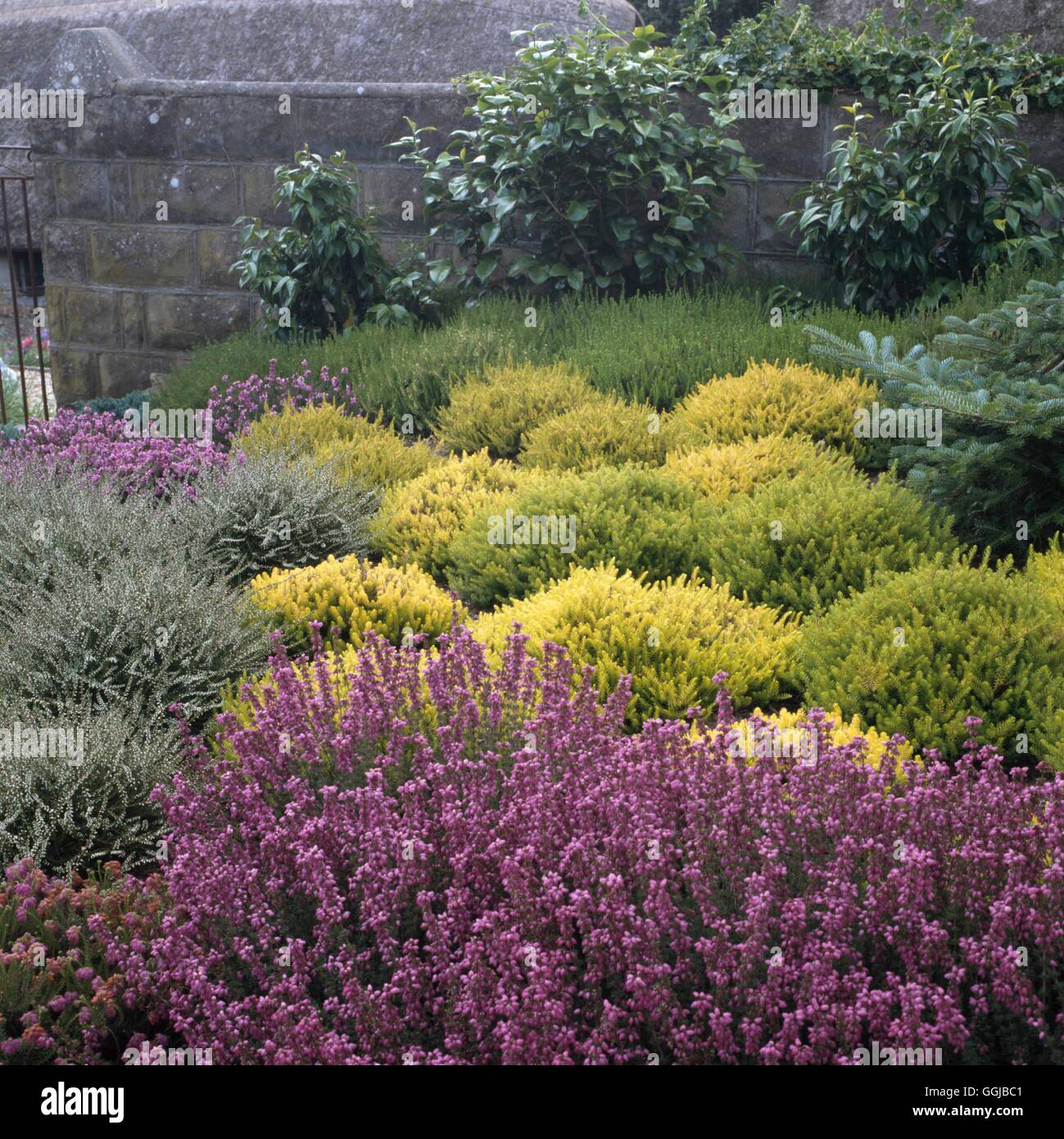 Heathers garden hi-res stock photography and images - Alamy