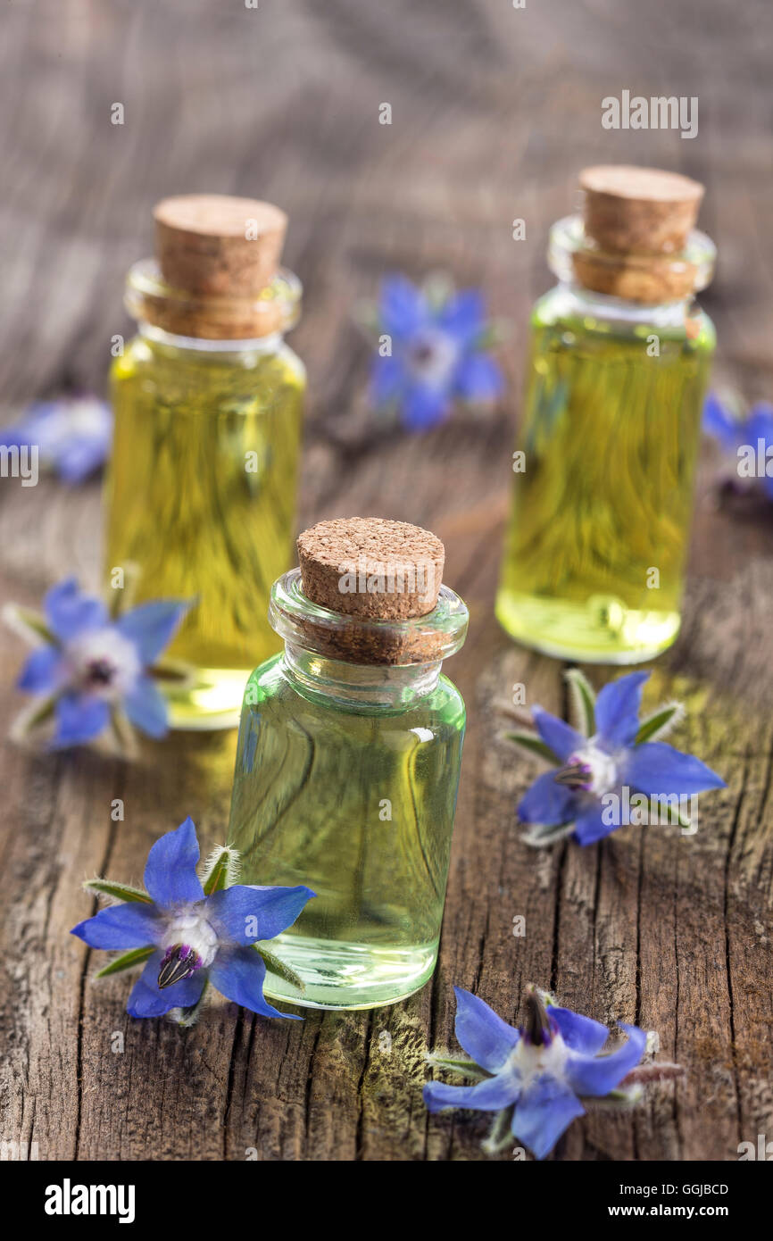 Borage oil Borago Officinalis Stock Photo - Alamy