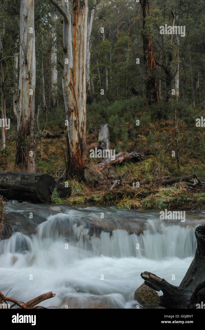 Landscape in the Victoria High Country Stock Photo - Alamy