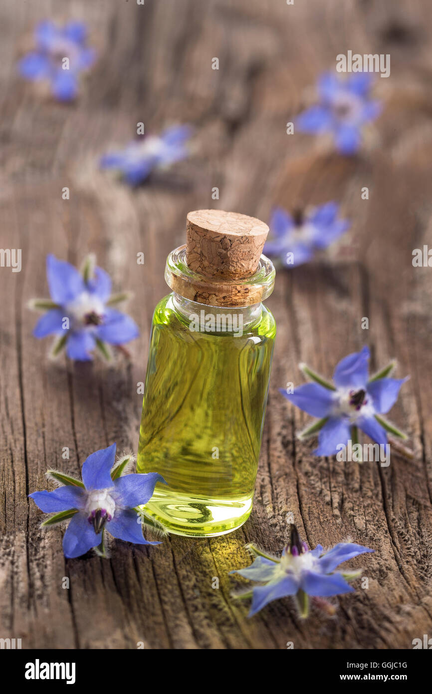 Borage oil Borago Officinalis Stock Photo - Alamy