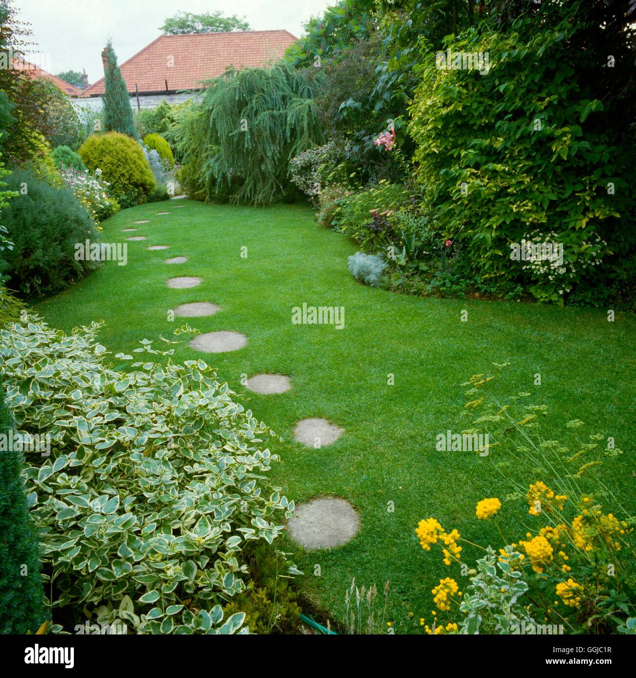 Lawn - with stepping stones LAW022164 Stock Photo - Alamy