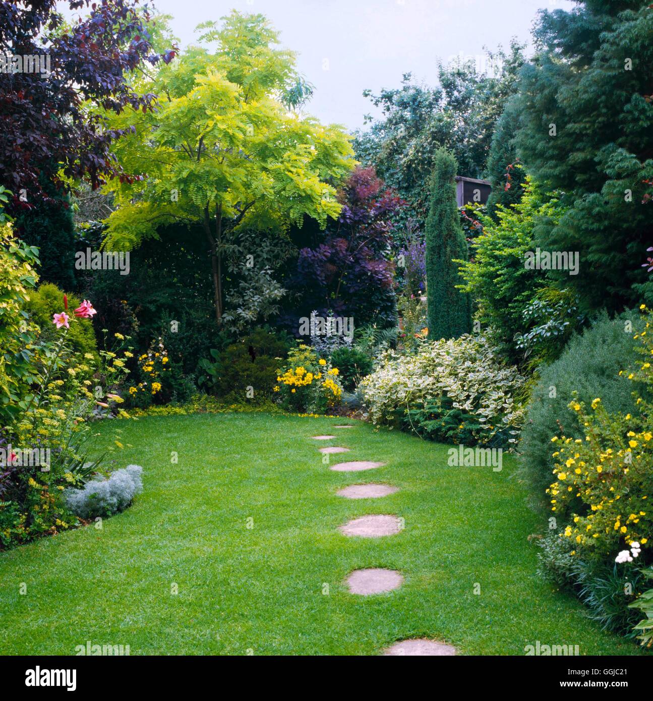 Lawn - with stepping stones LAW024702 Stock Photo - Alamy