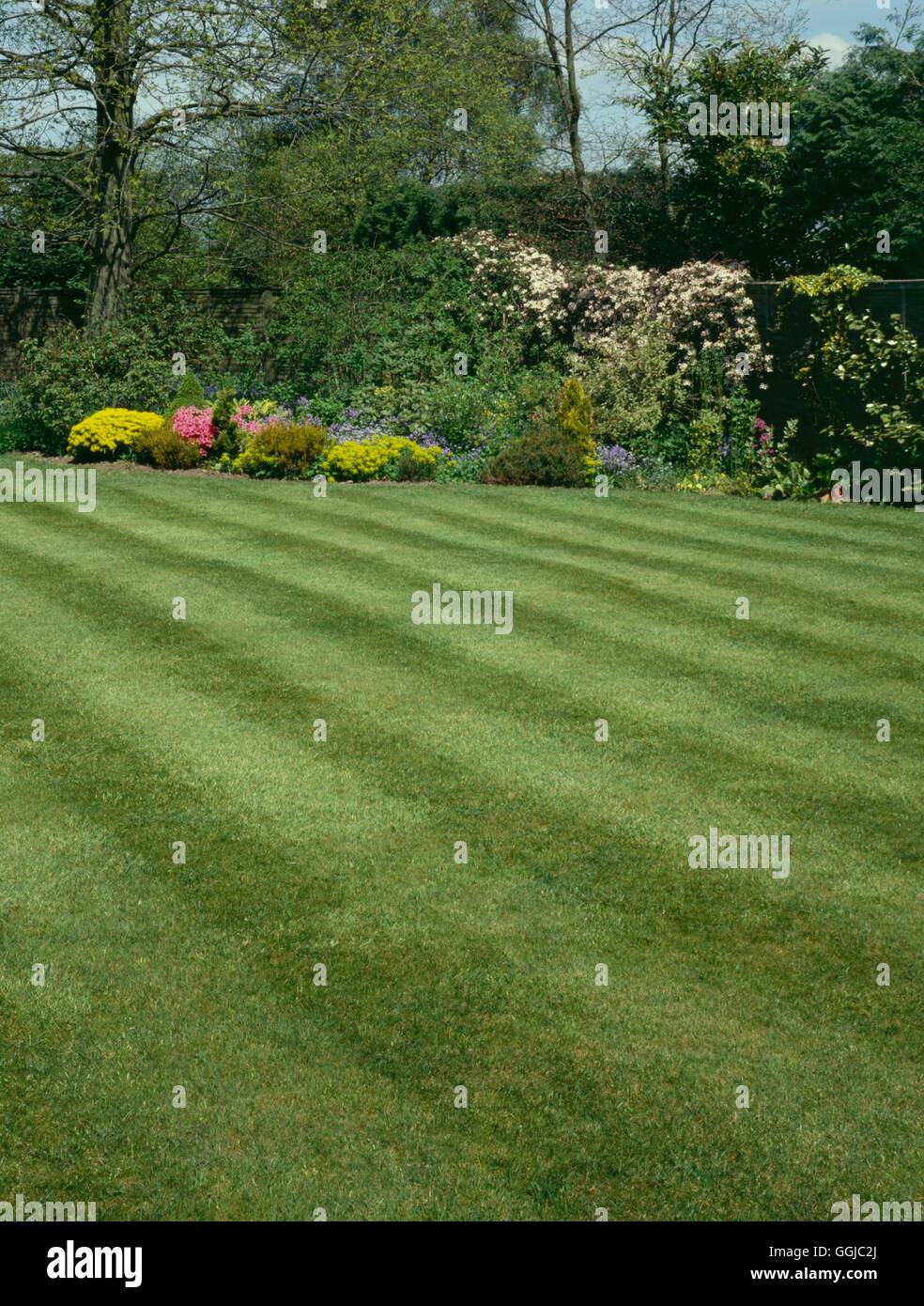 Border grass hi-res stock photography and images - Alamy