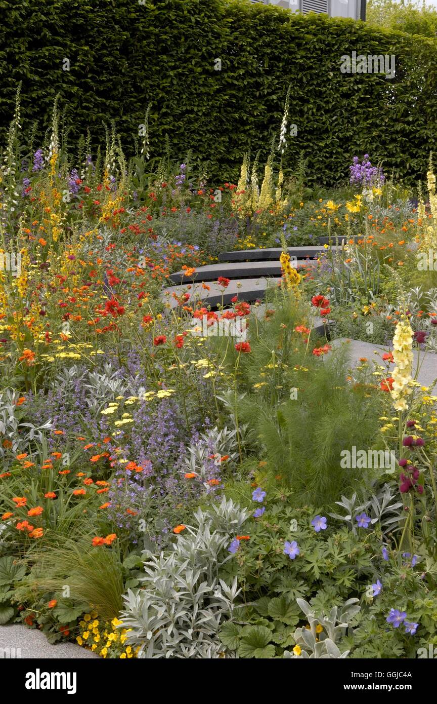 Perennial border hi-res stock photography and images - Alamy