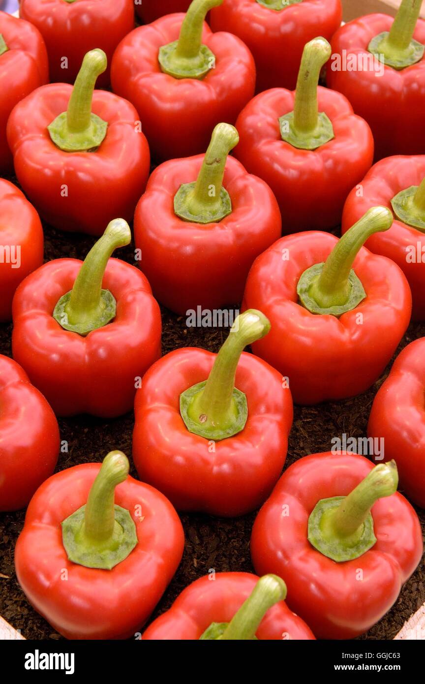 And the red hi-res stock photography and images - Alamy