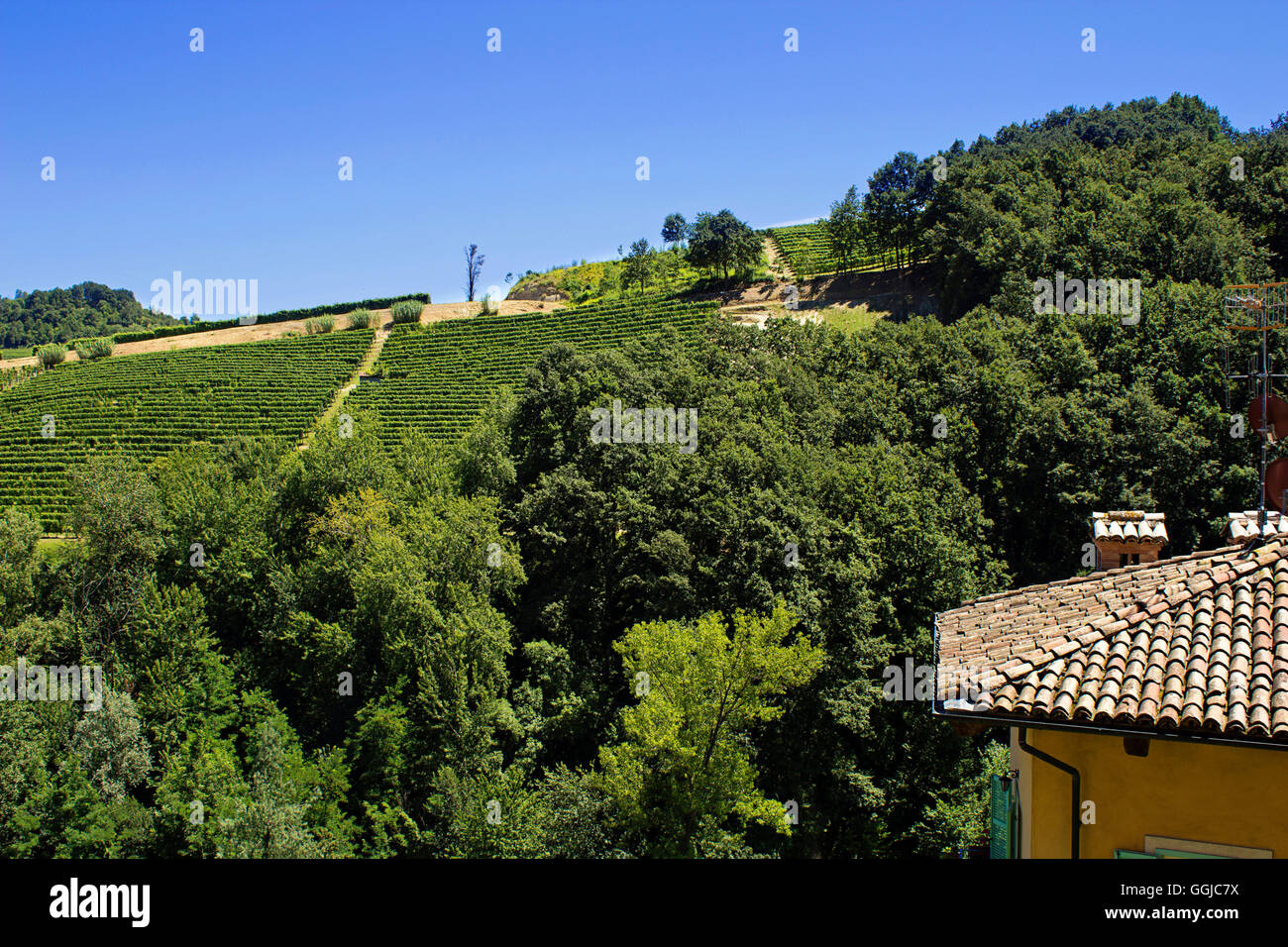 Landscape view of the well-known town of Barolo among green hills and ...