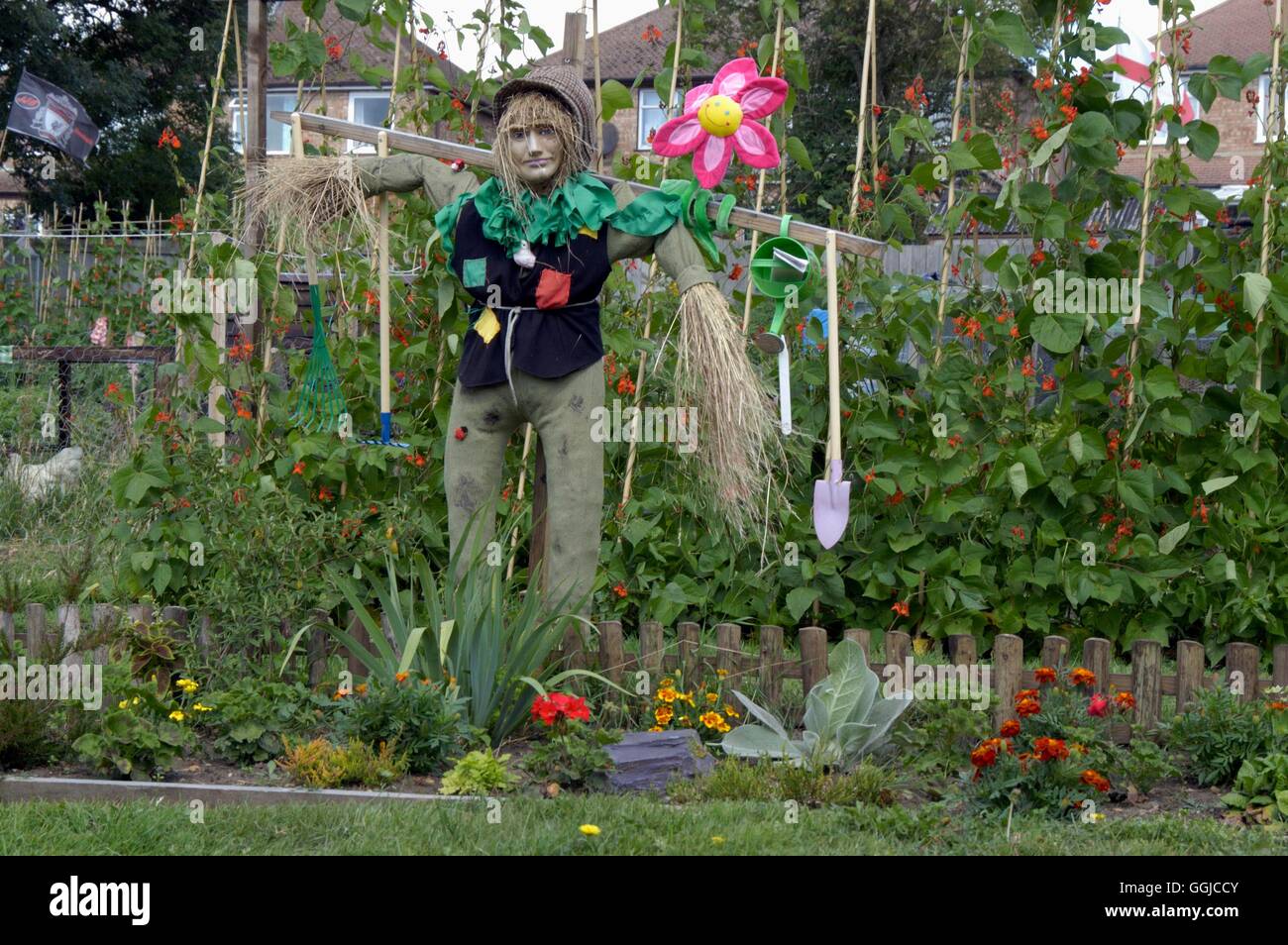 Protection Against Pests- - Scarecrow on Allotment MIW250224 Stock ...