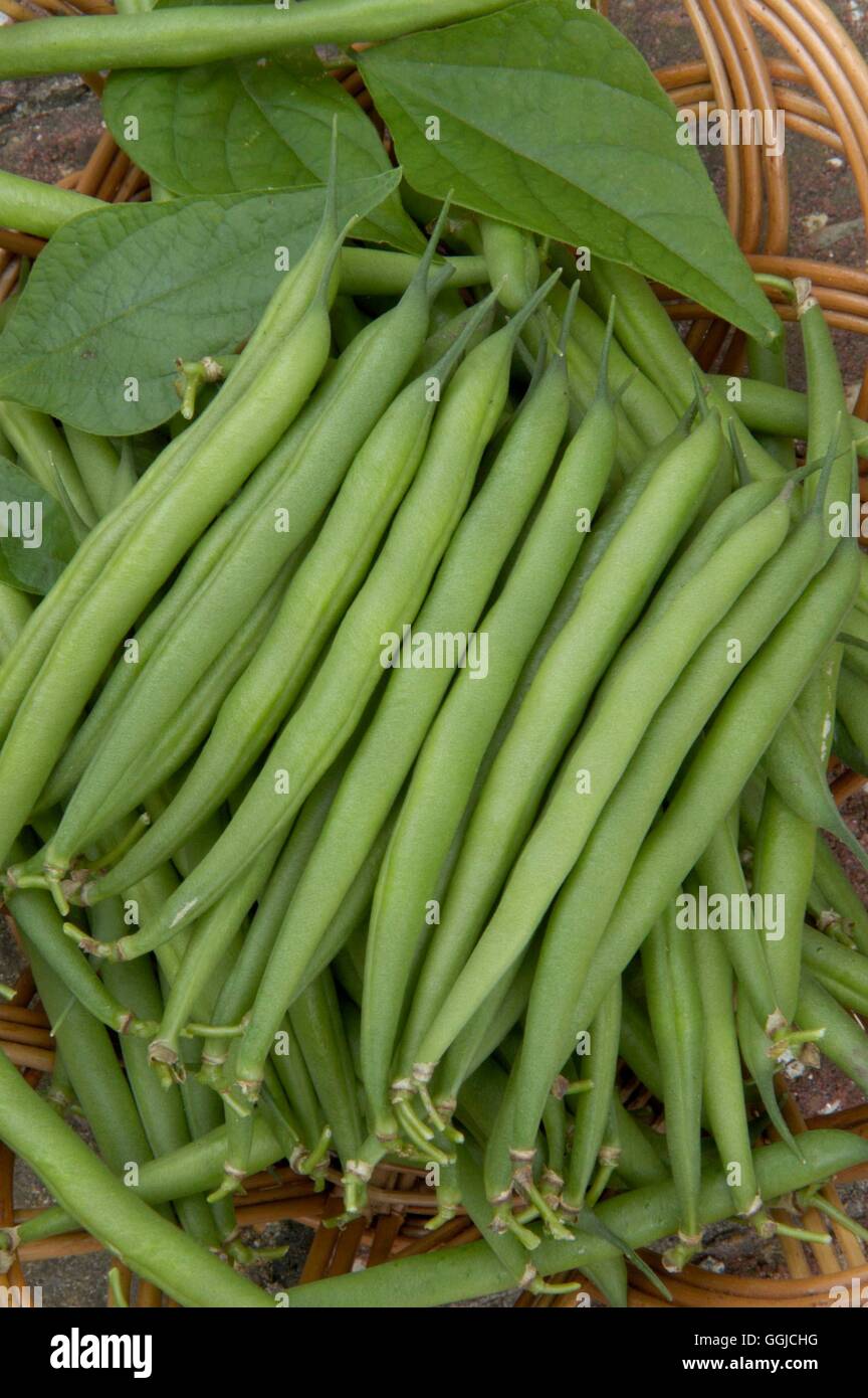 Dwarf french beans hi-res stock photography and images - Alamy