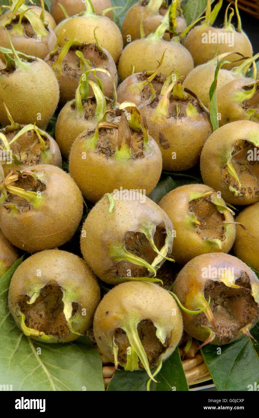 Dutch fruit hi-res stock photography and images - Alamy