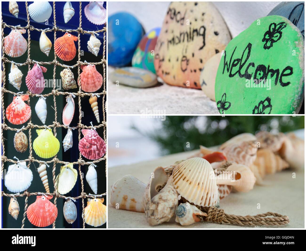 Photo collage of colorful shells background Stock Photo - Alamy