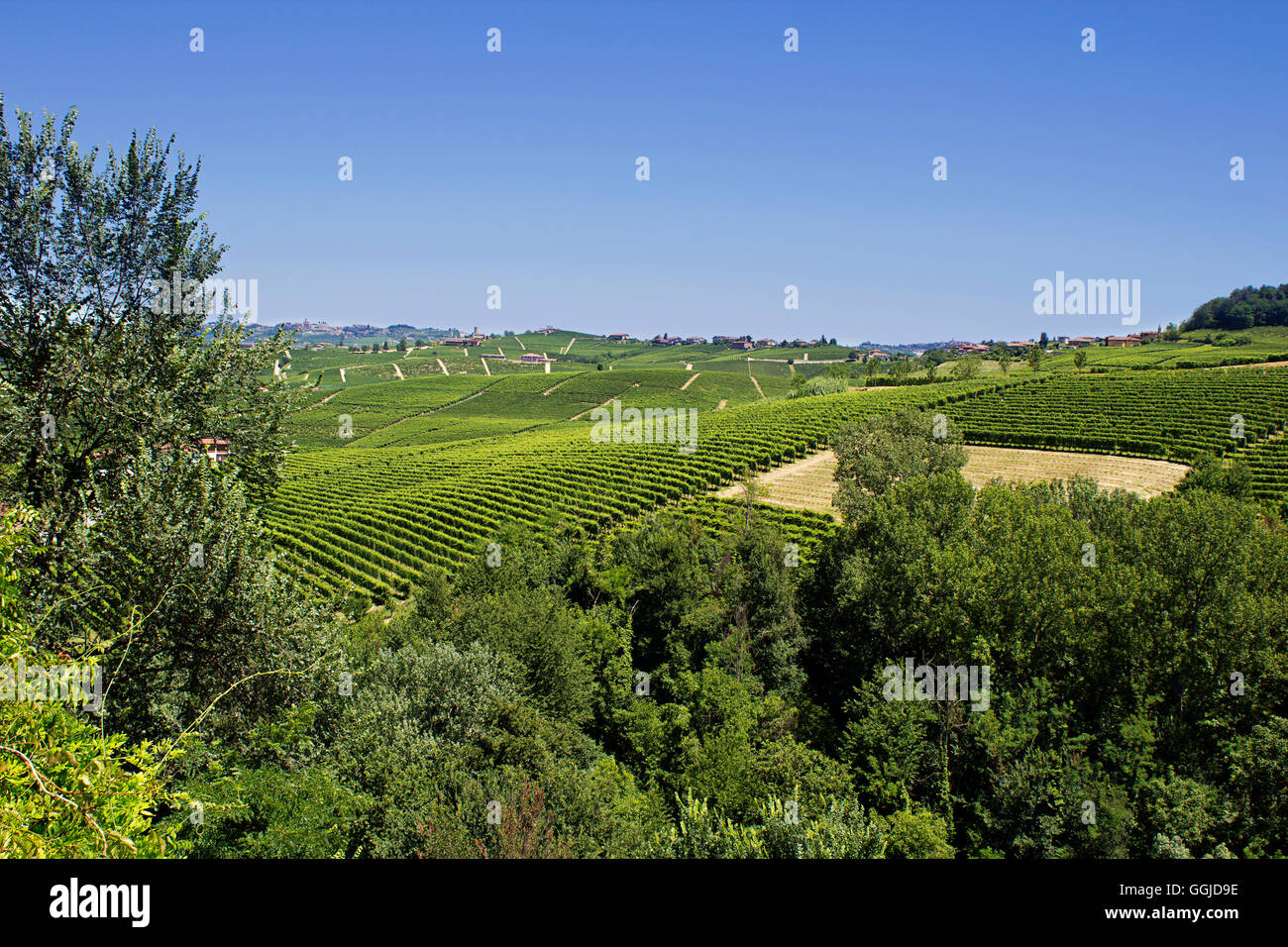Landscape view of the well-known town of Barolo among green hills and ...
