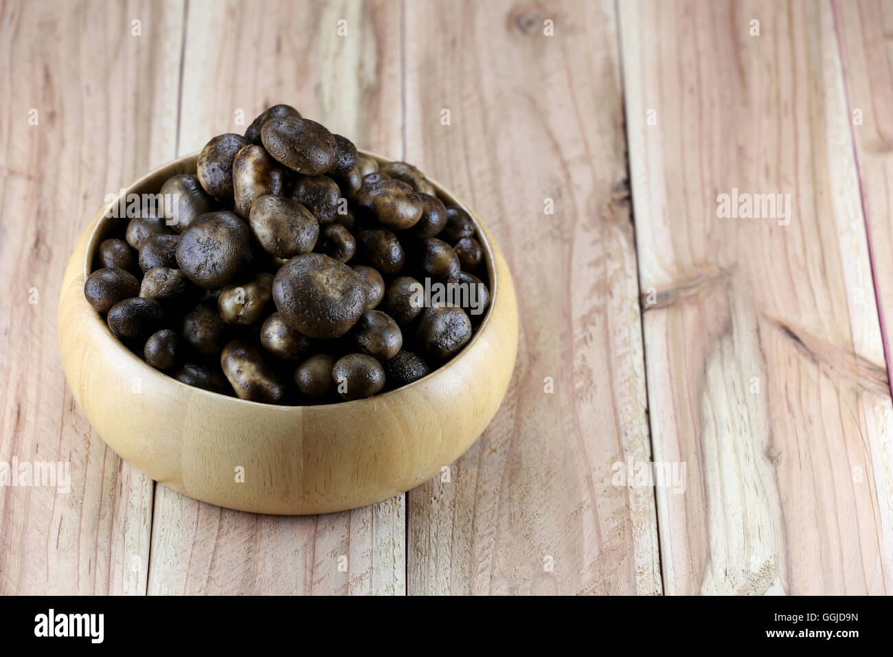 False earthstar hi-res stock photography and images - Alamy