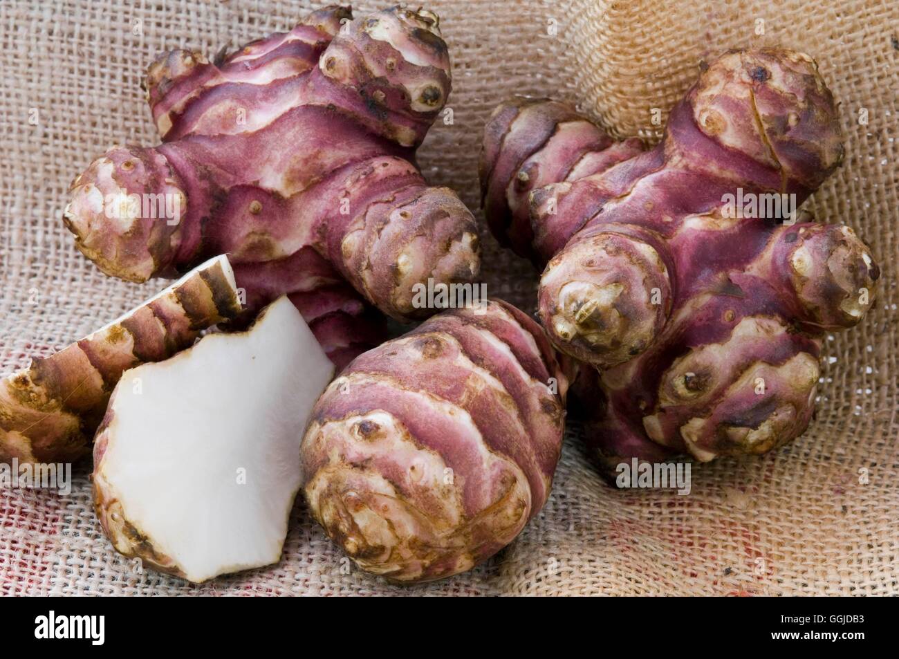 Fuseau jerusalem artichoke hi-res stock photography and images - Alamy