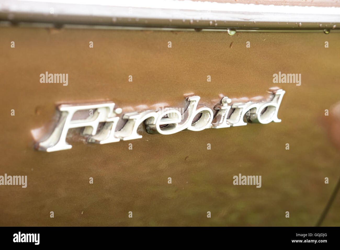 Pontiac Firebird badge Stock Photo - Alamy