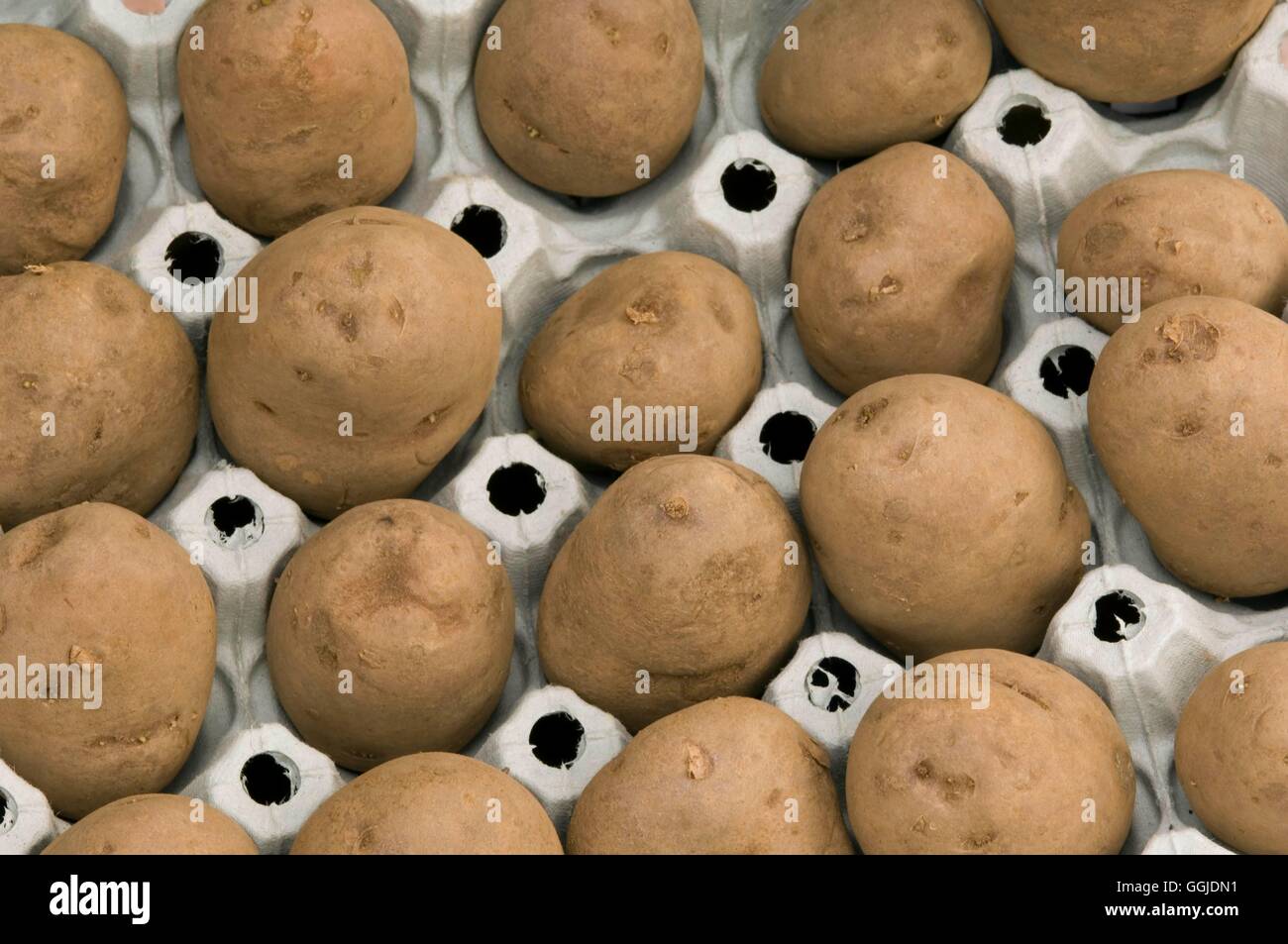 Axona hi-res stock photography and images - Alamy