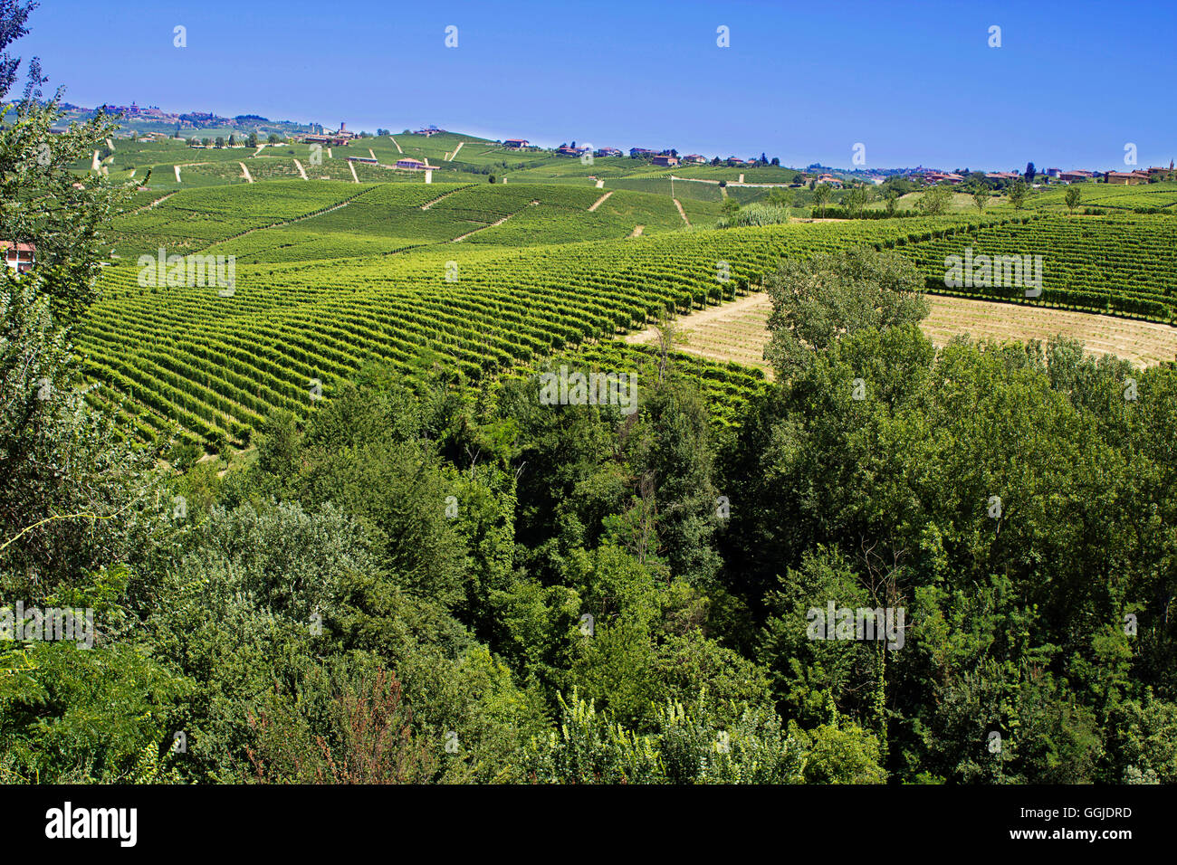 Landscape view of the well-known town of Barolo among green hills and ...