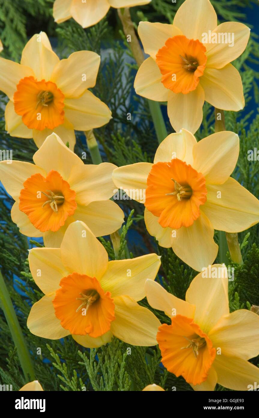 Ambergate High Resolution Stock Photography and Images - Alamy