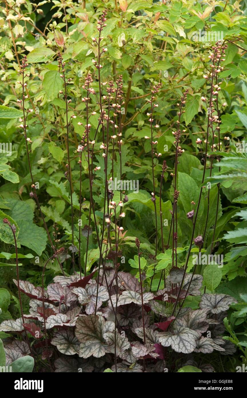 Silver scrolls hi-res stock photography and images - Alamy