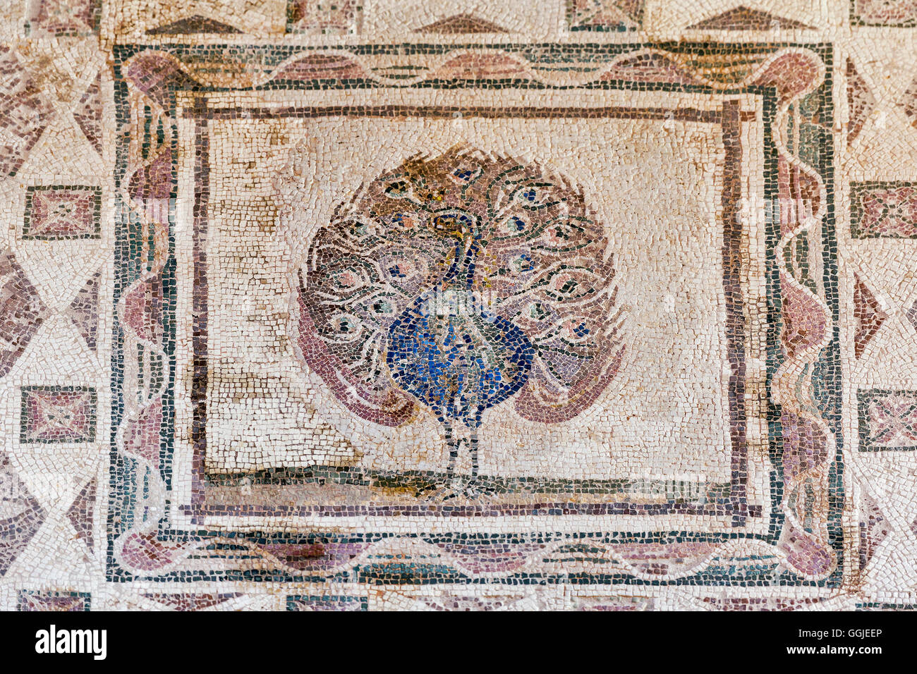 Ancient Greek floor mosaic in archaeologic park Kato Paphos, Cyprus ...
