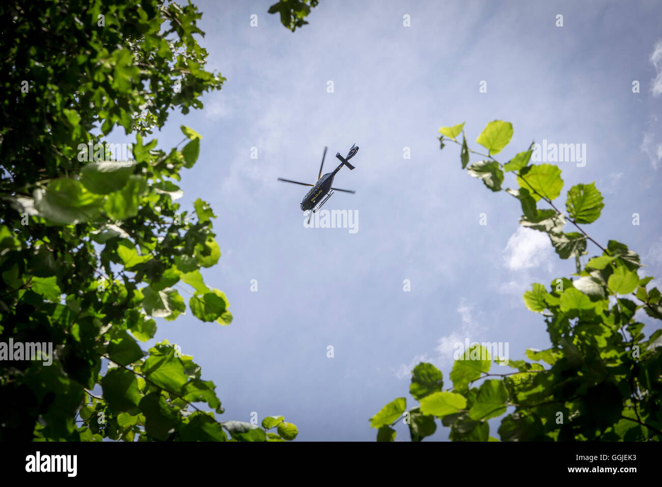 Aircraft through branches hi-res stock photography and images - Alamy