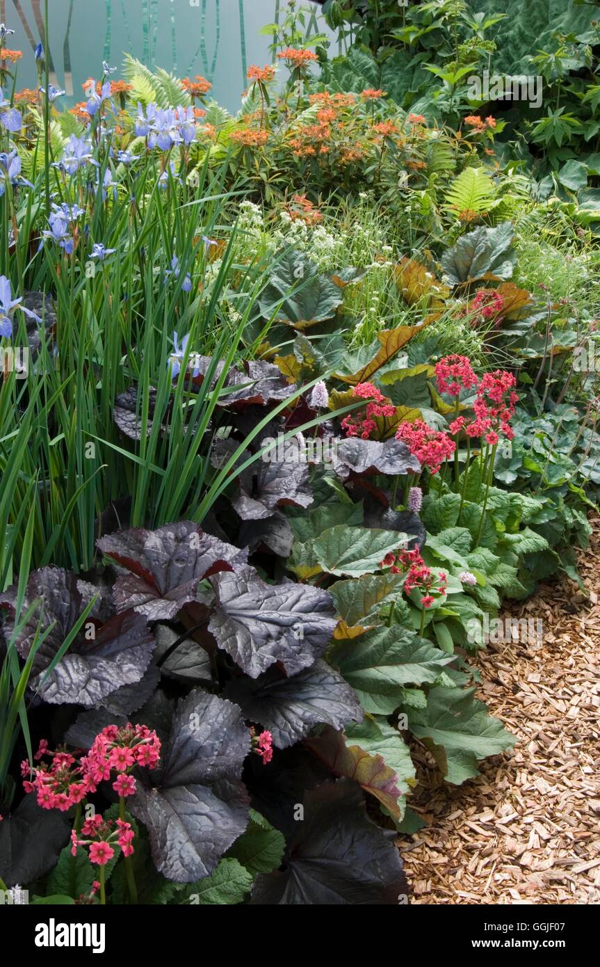 Mixed border hi-res stock photography and images - Alamy