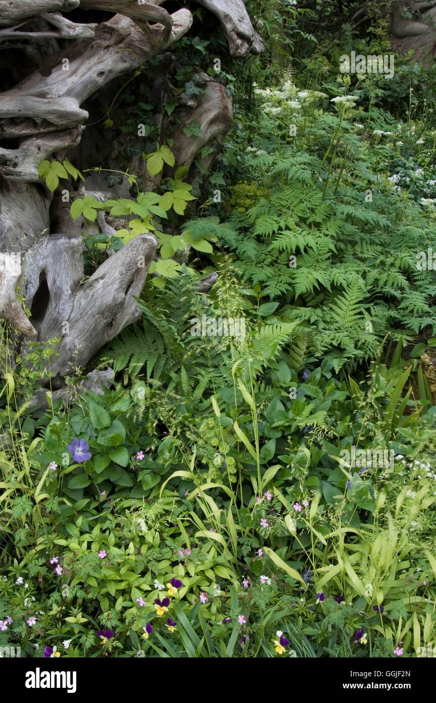Stumpery- - Please credit: Photos Hort/designers Marney Hall & Heather ...