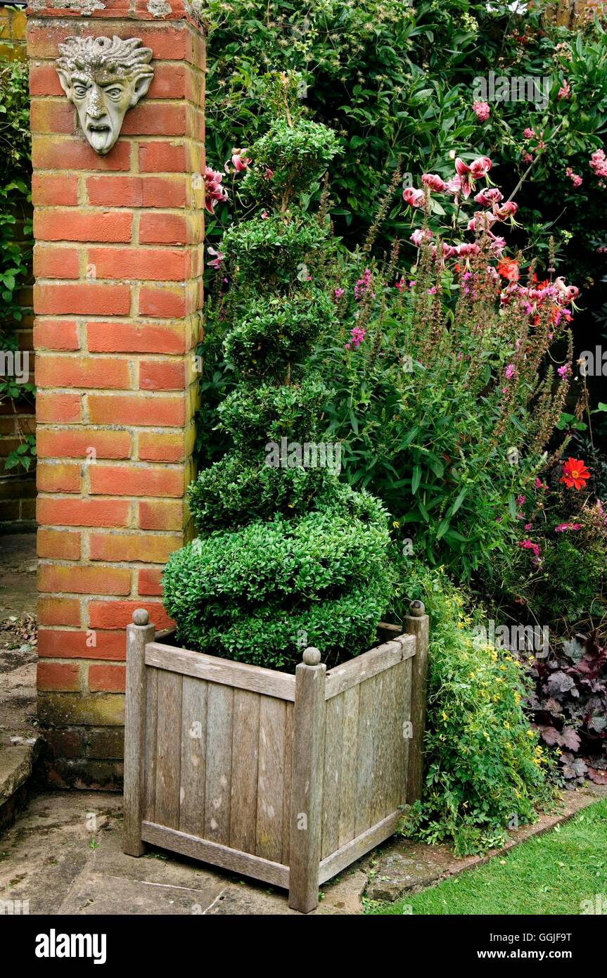 Spiral topiary container hi-res stock photography and images - Alamy