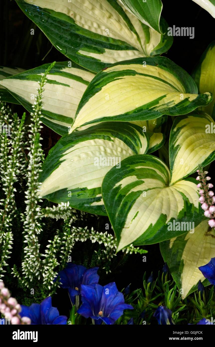 Rememberme hi-res stock photography and images - Alamy