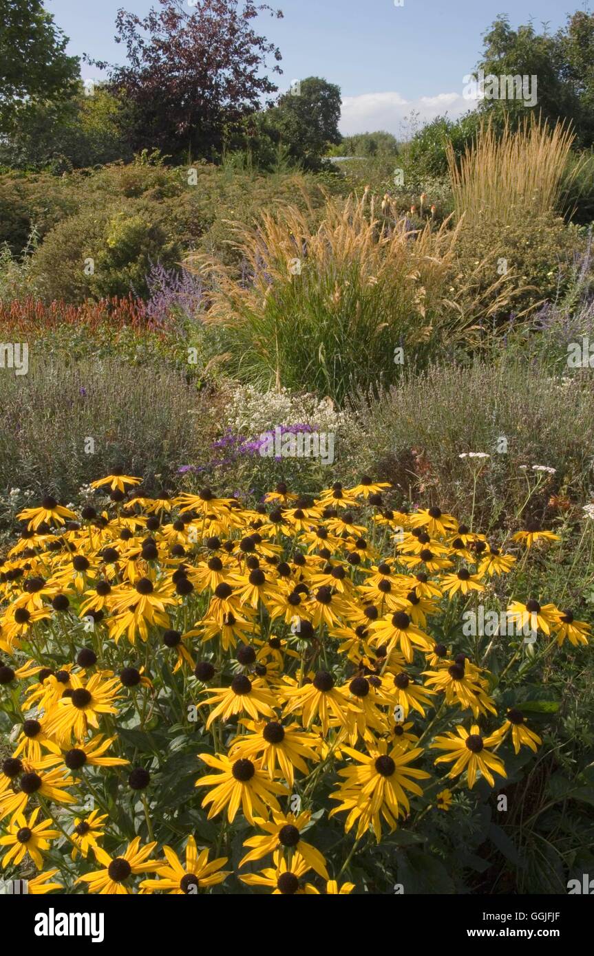 Autumn Garden- - Prairie Planting Style- - (Please credit: Photos Hort ...