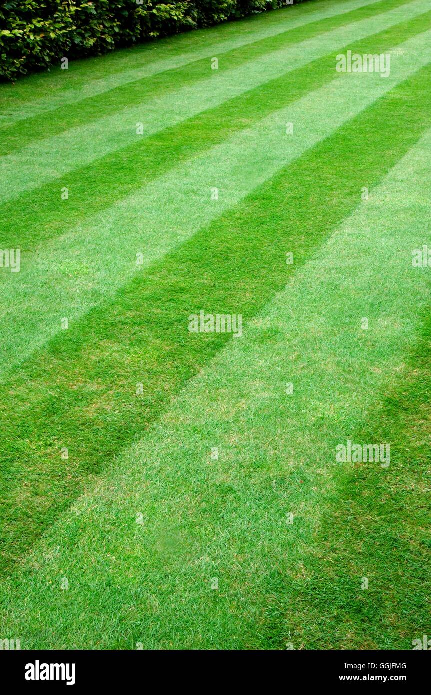 Striped lawn hi-res stock photography and images - Alamy