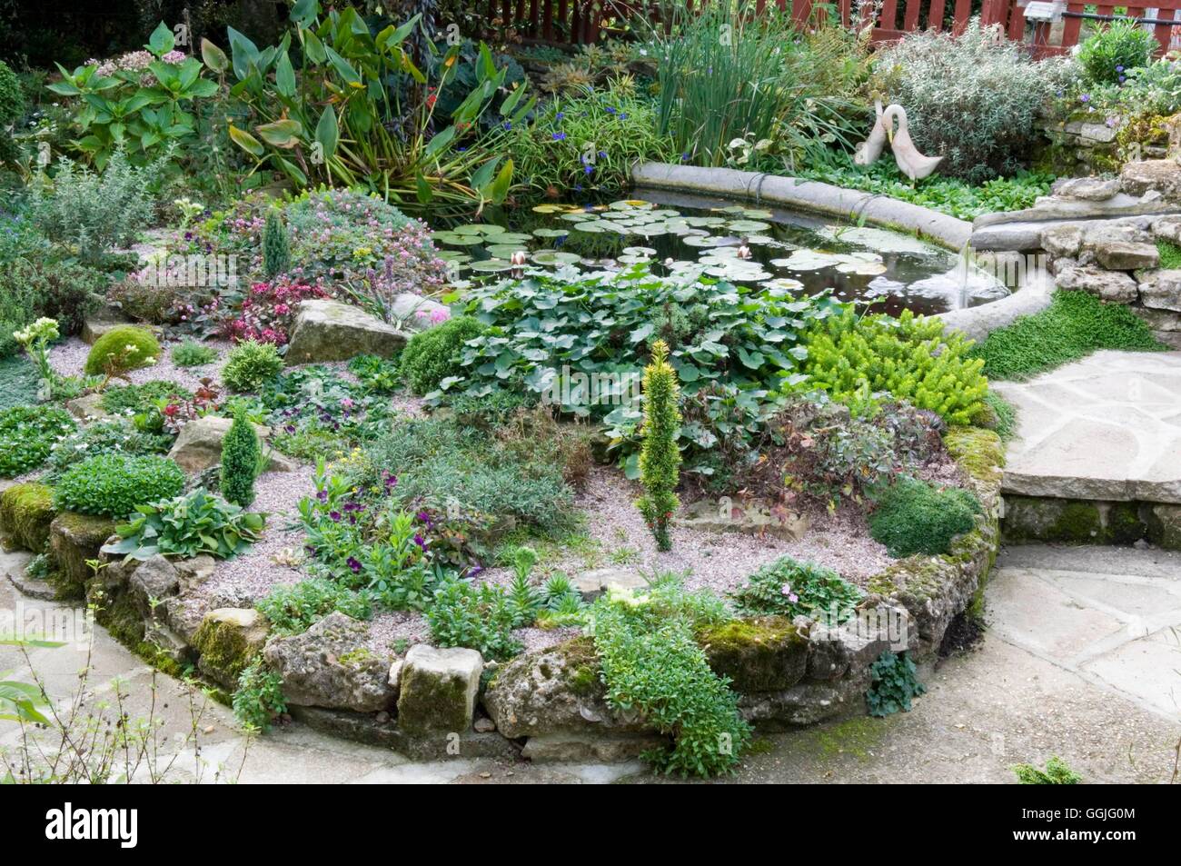Alpine scree garden hi-res stock photography and images - Alamy