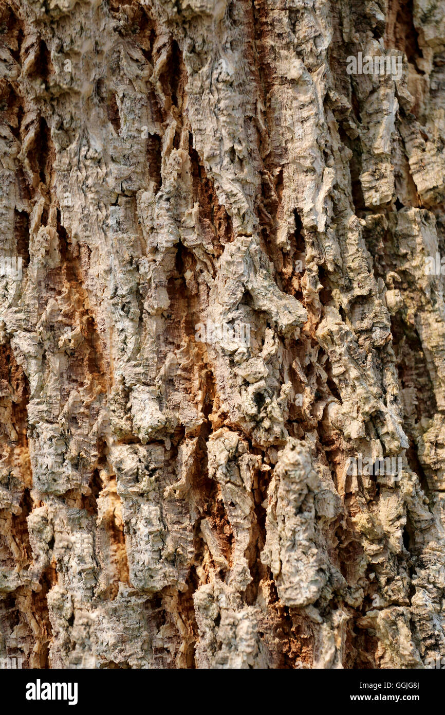 Outdoor corrosion hi-res stock photography and images - Alamy