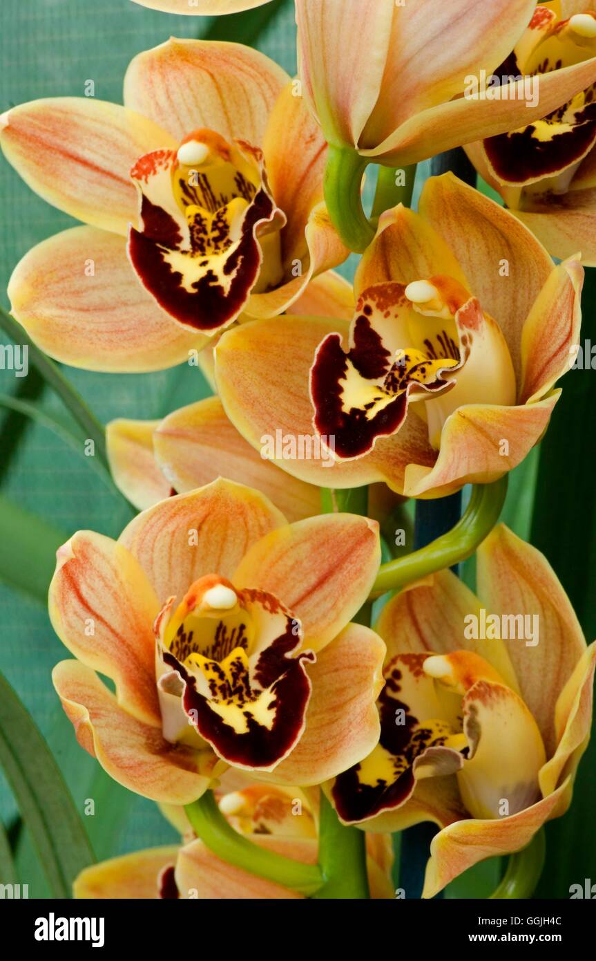 Fremont point hi-res stock photography and images - Alamy