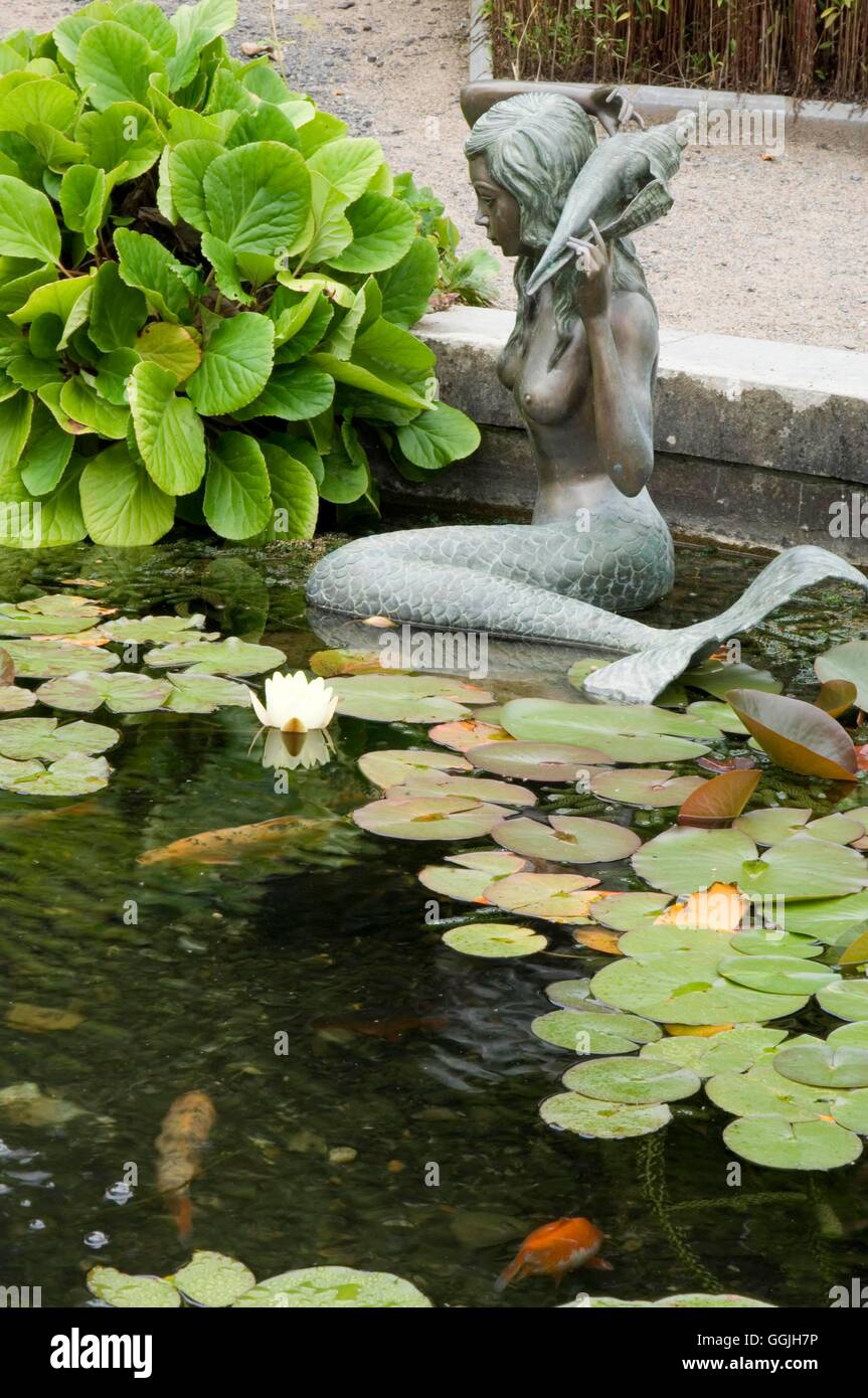 Fountain/Water Feature- - Please credit: Photos Hort/Belvedere House ...