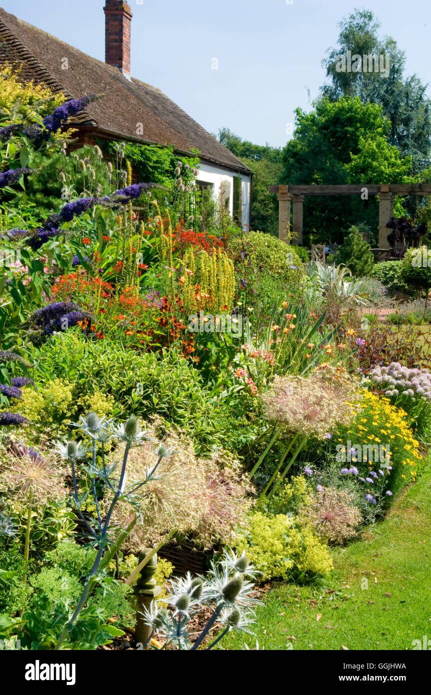 Buddleja border hi-res stock photography and images - Alamy