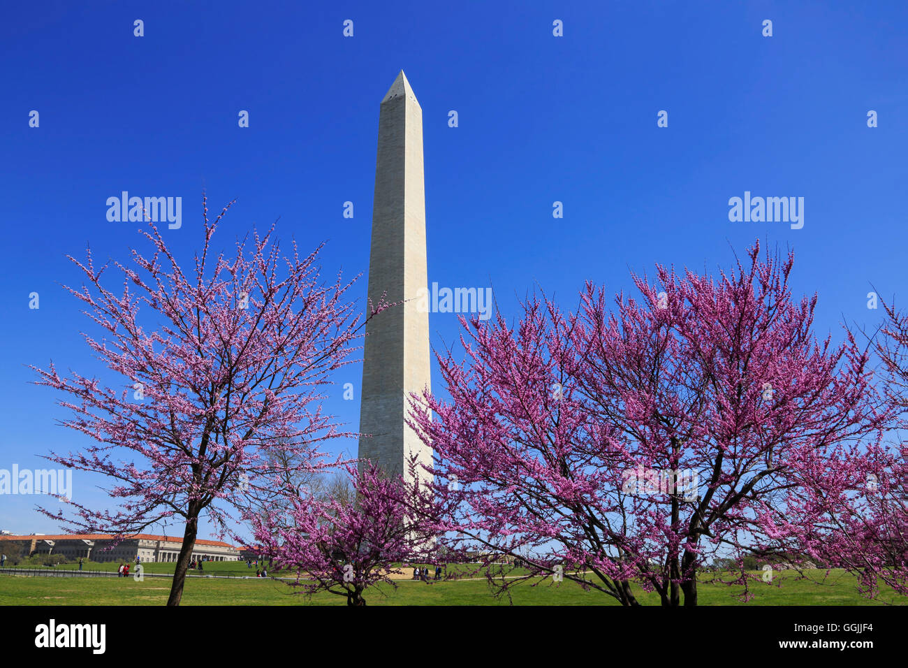 Dc monument spring flowers hi-res stock photography and images - Alamy