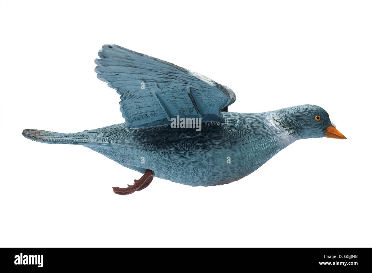 Plastic pigeon decoy isolate on a white background Stock Photo - Alamy