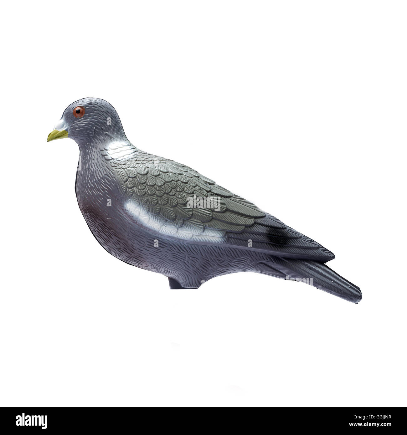 Plastic pigeon hi-res stock photography and images - Alamy