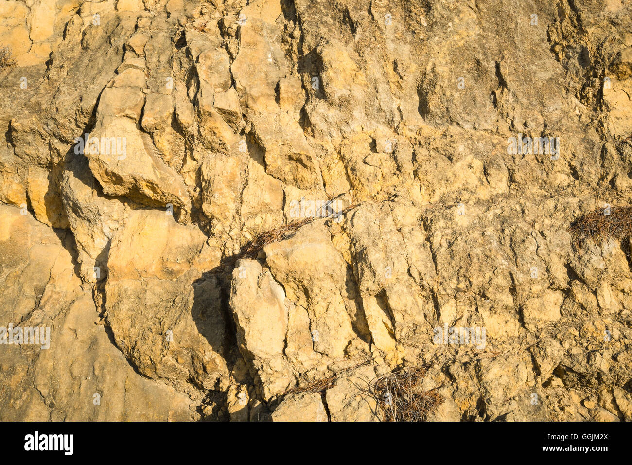 Full frame take texture hi-res stock photography and images - Alamy