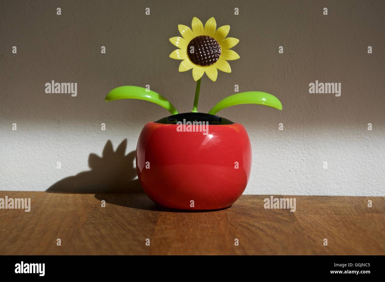 Summer Solar Sunflower Stock Photo - Alamy