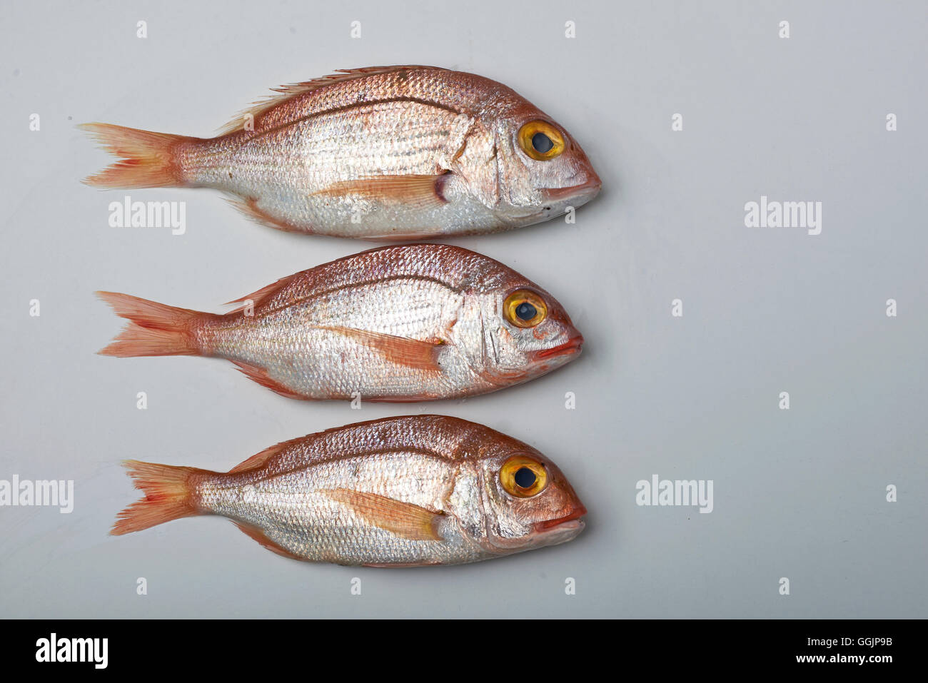 Red snapper fish skin hi-res stock photography and images - Alamy